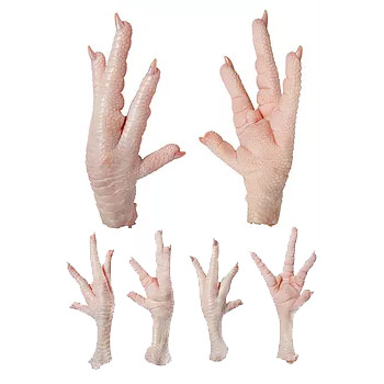 Premium Frozen Chicken from Brazil - Fresh & Reliable