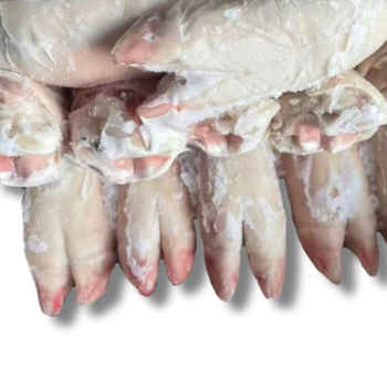Frozen Pork Front & Hind Feet from Brazil - Premium Quality
